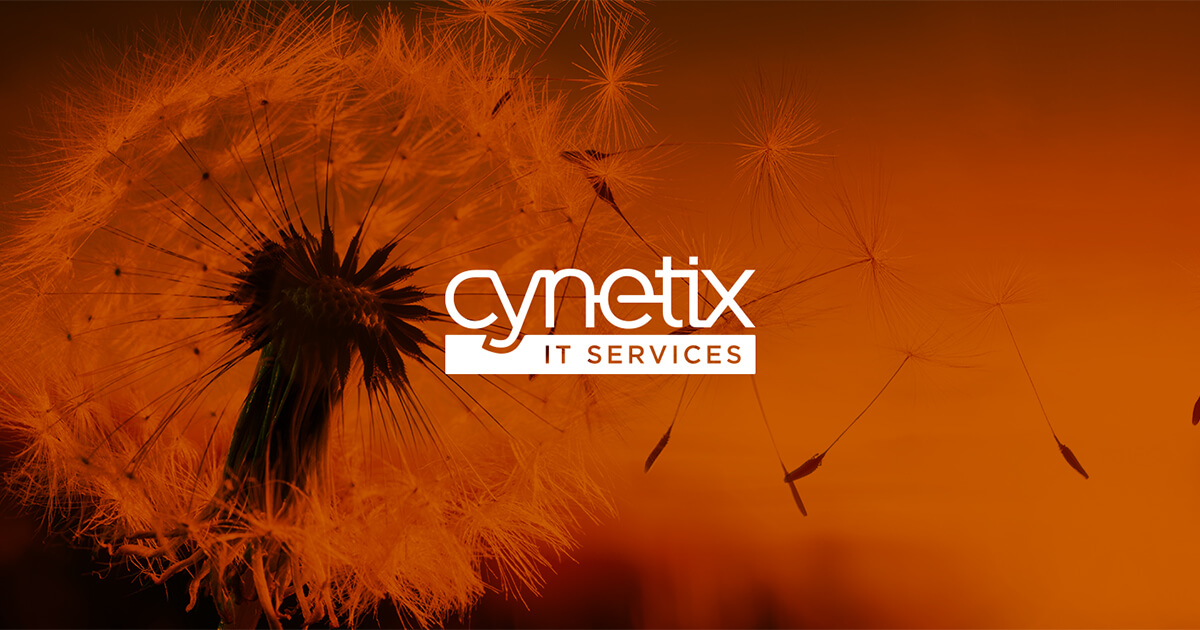 Cynetix IT Services - Web Design & Development